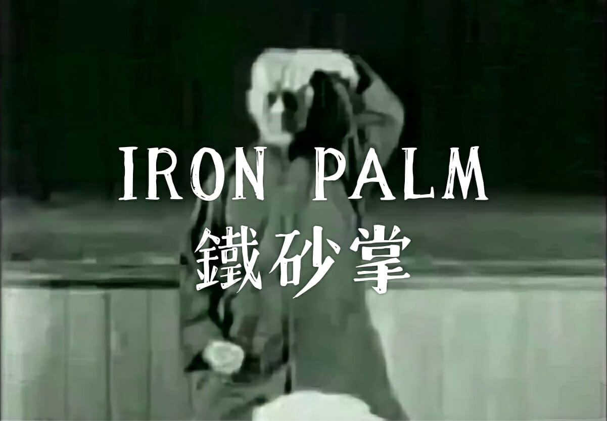 Master the Iron Palm Training Secrets: A Step by Step Guide - Simon Wang